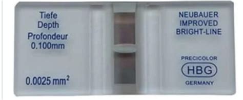 Standard Operating Procedure SOP For Total White Blood Cell WBC Count Medlabhq