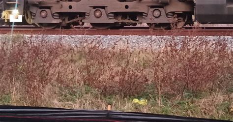 키 큰 잔디 옆에서 기찻길을 따라 달리는 빨간 기차 사진 Unsplash의 무료 회색 이미지