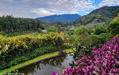 Panama Travel Guide The Bamboo Traveler