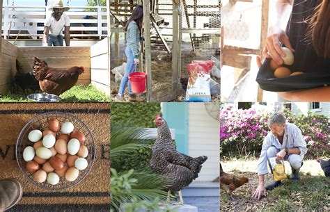 Kubota Tractor Corporation We Want To Know What Is Your Favorite