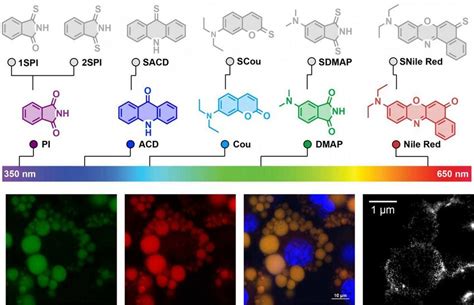 Different Fluorescence Levels And Colors Of Different Molecule 11