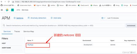 elastic apm 安装 elastic apm agent 1 26 0 jar csdn博客