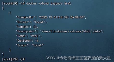 Docker数据卷详解 Csdn博客