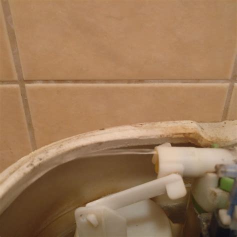 Sekalaista Puuhastelua Ido Trevi Wc Istuin Vuotaa Vettä