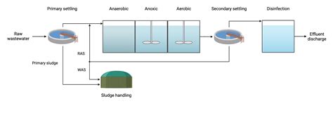 Conventional Activated Sludge Process Biorender Science Templates
