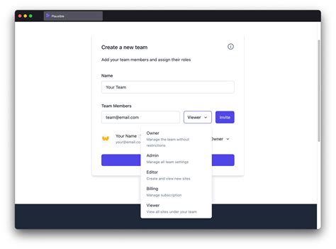 Invite Team Members Or External Guests And Assign Roles Plausible Docs
