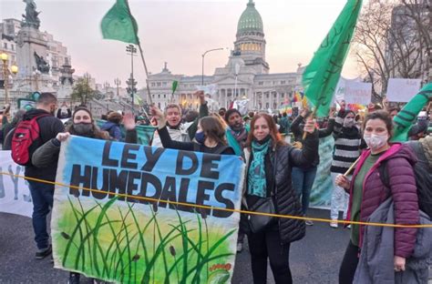 Legisladores Científicos Y Ambientalistas Volvieron A Presentar El