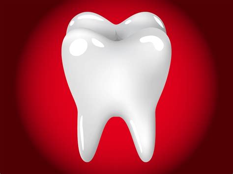 Tooth Vector Art And Graphics