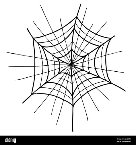 Spiderweb Halloween Cobweb Close Up Linear Hand Drawing Vector Illustration Stock Vector