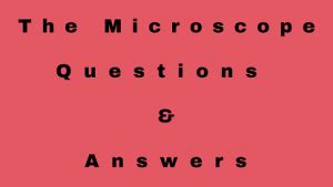 The Microscope Questions Answers WittyChimp