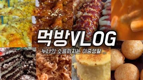먹방 브이로그 디저트 먹방 과자 먹방 빵 먹방 아이스크림 명랑핫도그 로제떡볶이 치즈볼 먹방 크림빵 소금빵 치킨 케이크 피자
