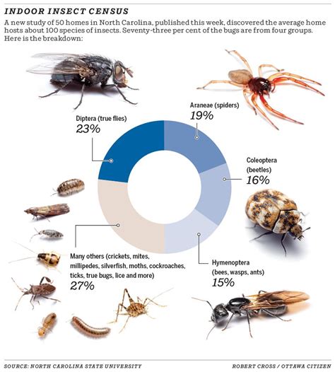 Plain Talking Scientific Paper Says 100 Types Of Bugs Likely Share Your