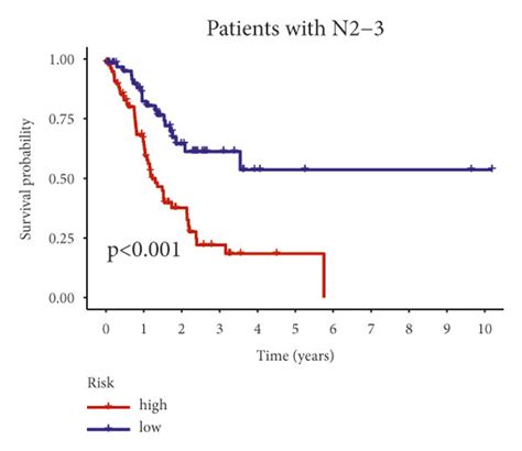 Stratified Analysis Based On The Built Model And Clinical Download