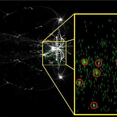 Example Of Cyclic Attractor The Map Download Scientific Diagram
