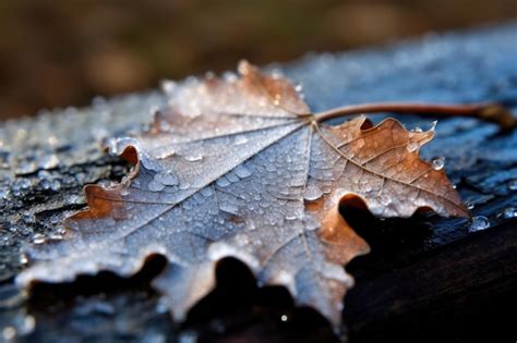 Premium Ai Image A Leaf On A Log