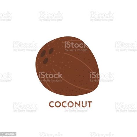 코코넛 과일 벡터 열대 음식 그림입니다 흰색 배경에 고립 된 질감 전체 코코 비건 생산 건강한 생활방식에 대한 스톡 벡터 아트 및 기타 이미지 Istock