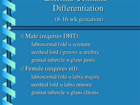 PPT INTERSEX PowerPoint Presentation Free Download ID