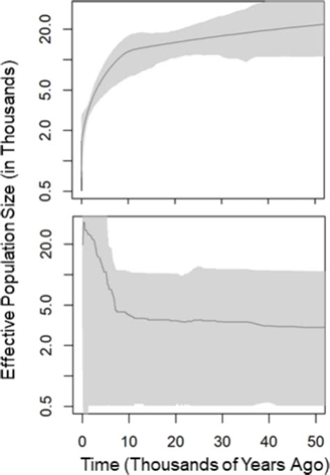 Extended Bayesian Skyline Plot For Dipodomys Elator Top From 34