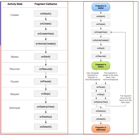 Activity Fragment Lifecycle