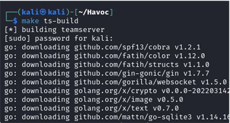 Havoc C2 Installation Use And Features Security Art Work
