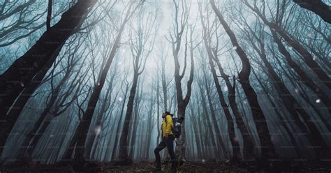 어두운 숲에 서 있는 남성 등산객 미스터리 숲을 걷는 배낭을 든 남자 자연의 여행자 용기 위험 및 성공 개념 사진 Unsplash의 발견하다 이미지
