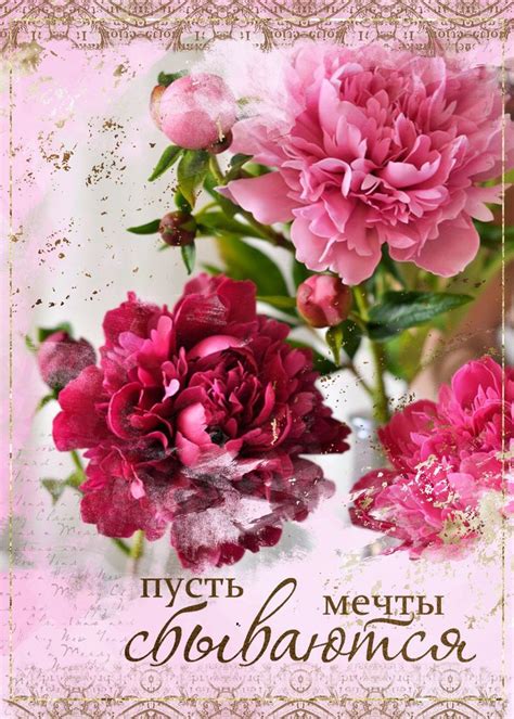 Пин на доске поздравлялки Цветы на рождение Праздничные открытки