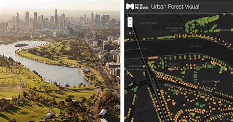 WOW Melbourne Trees Have An Entire Map Dedicated To Them Citygreen