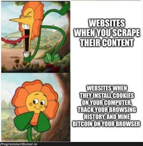 websites