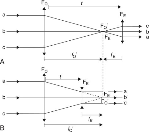 Angular Magnification Ento Key