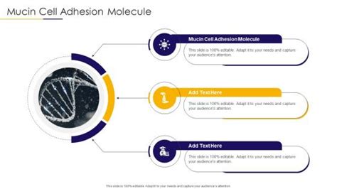 Cell Adhesion Molecules Powerpoint Presentation And Slides Ppt Powerpoint Slideteam
