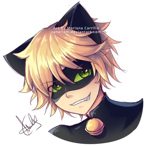 Chat Noir Experiment By Selakora On Deviantart