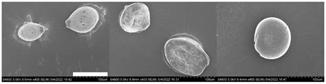 Development Of Gelatin Coated Hydrogel Microspheres For Novel Bioink