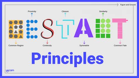 Principles Of Visual Design These Elements Are Inherently Present