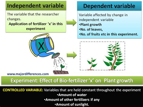 Difference Between Controlled Group And Controlled Variable In An