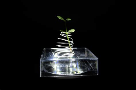 Lianne Regtuit Design Portfolio