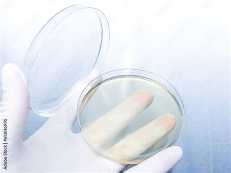 Microbial Experimenters Are Conducting Experiments In Modern Laboratory