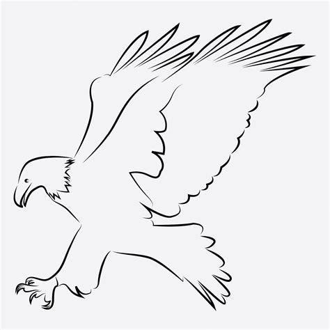 Premium Vector Eagle Bird Line Art