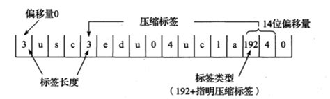 一个强大的基于 Go 的 DNS 库 晒太阳的猫