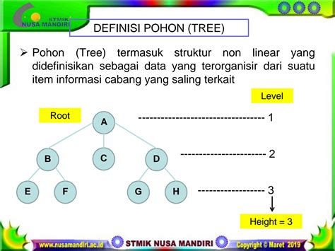 Solution 10 Struktur Data Struktur Pohon Kunjungan Pohon Biner Studypool
