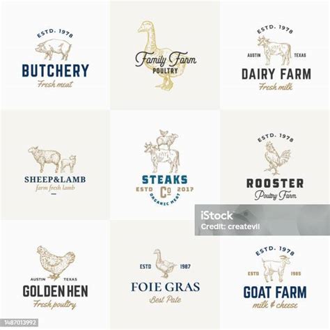 프리미엄 품질의 복고풍 가축 및 가금류 벡터 표지판 또는 기호 템플릿 세트 손으로 그린 빈티지 가축과 새 스케치는 고급스러운 타이포그래피 돼지 소 닭 등으로 그려집니다 양