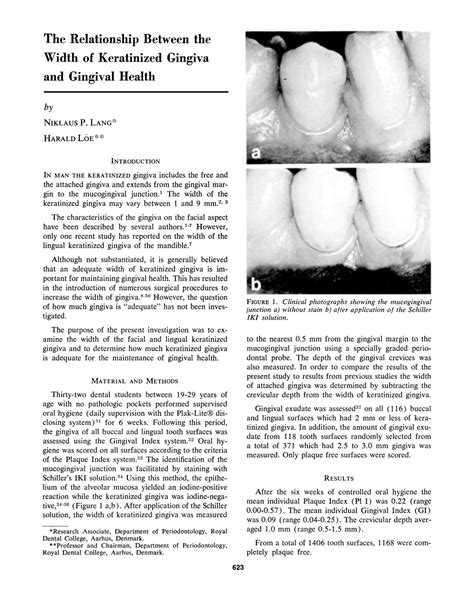 The Relationship Between The Width Of Keratinized Gingiva And Gingival