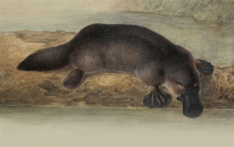 Интересные факты. Фактрум