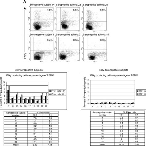 Healthy Ebv Seropositive Patients Can Be Distinguished From Healthy Download Scientific Diagram