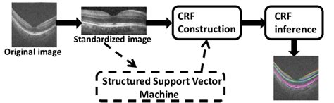 Overview Of The Proposed Joint Multi Layer Segmentation Pipeline The