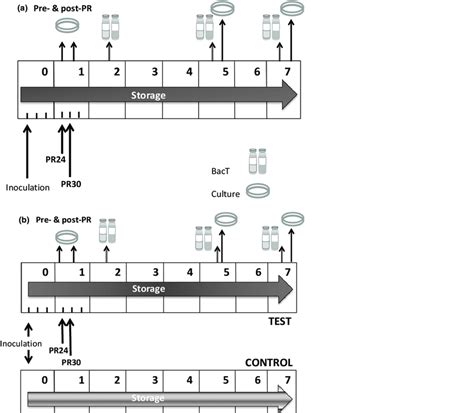 Experiment Schematic A Single Apheresis Unit Experimental Design