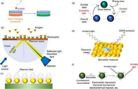 Principles Of The Optical Nanobiosensors With Different Sensing Download Scientific Diagram