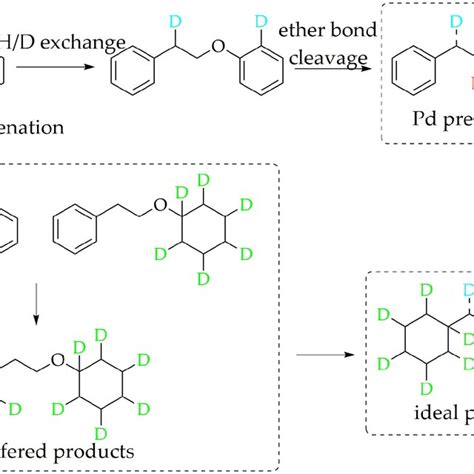 Tentative Reaction Pathways For In Situ ²h Nmr Monitoring Of Deuterium Download Scientific