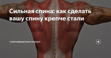 Сильная спина как сделать вашу спину крепче стали Спортивный