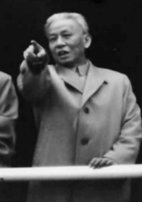 尊前谈笑人依旧：刘少奇影像记忆 搜狐大视野 搜狐新闻