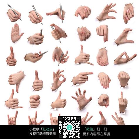 做各种动作的手图片免费下载 红动中国